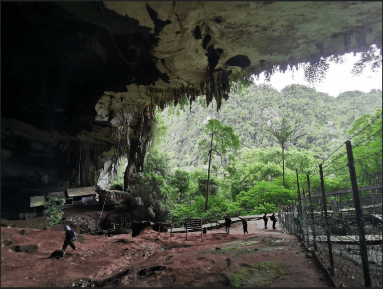ニア国立公園（Niah National Park）− 人類最古の痕跡が残る洞窟と、その壁画 - choroのよもやま話